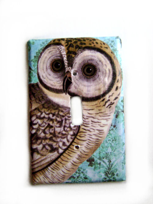 Switchplate Cover Cute Owl Single Switch Cover on Luulla